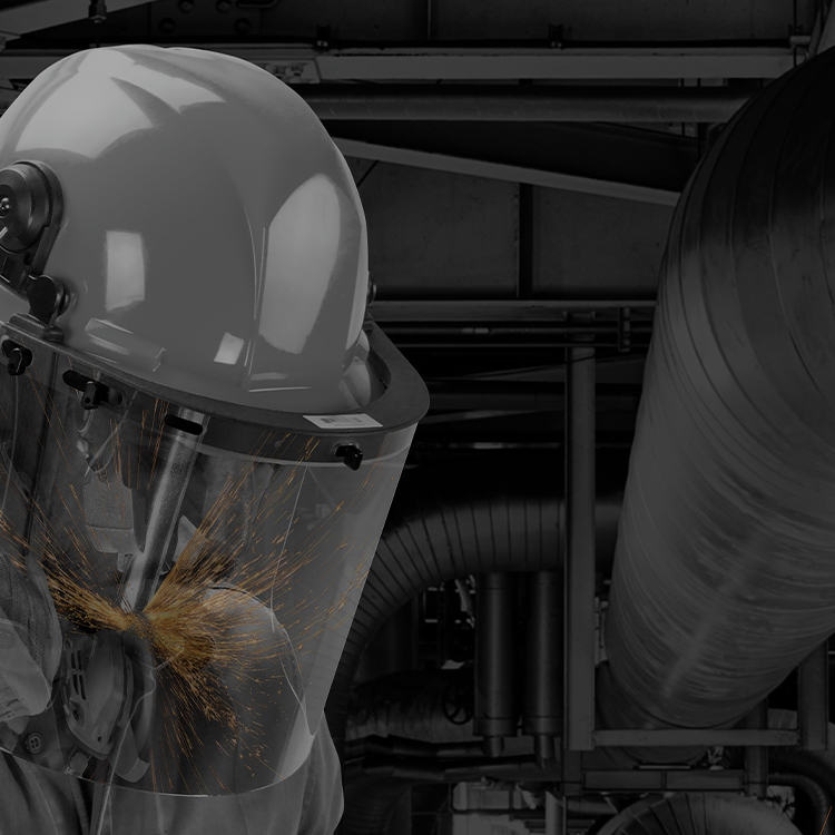 SAS Safety Group | HEAD / FACE ACCESSORIES