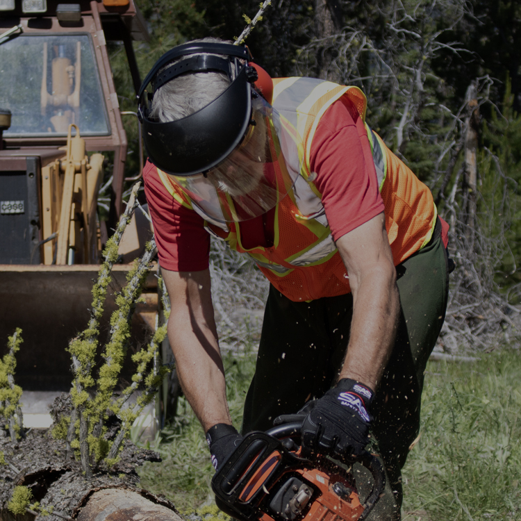 SAS Safety Group | FACE SHIELDS